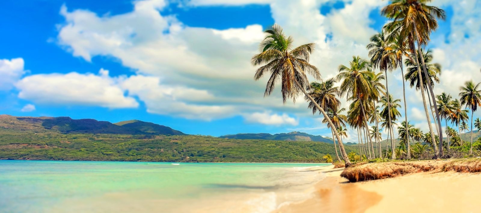 Barbados Full-day Private Tour - Across Caribbean Excursions