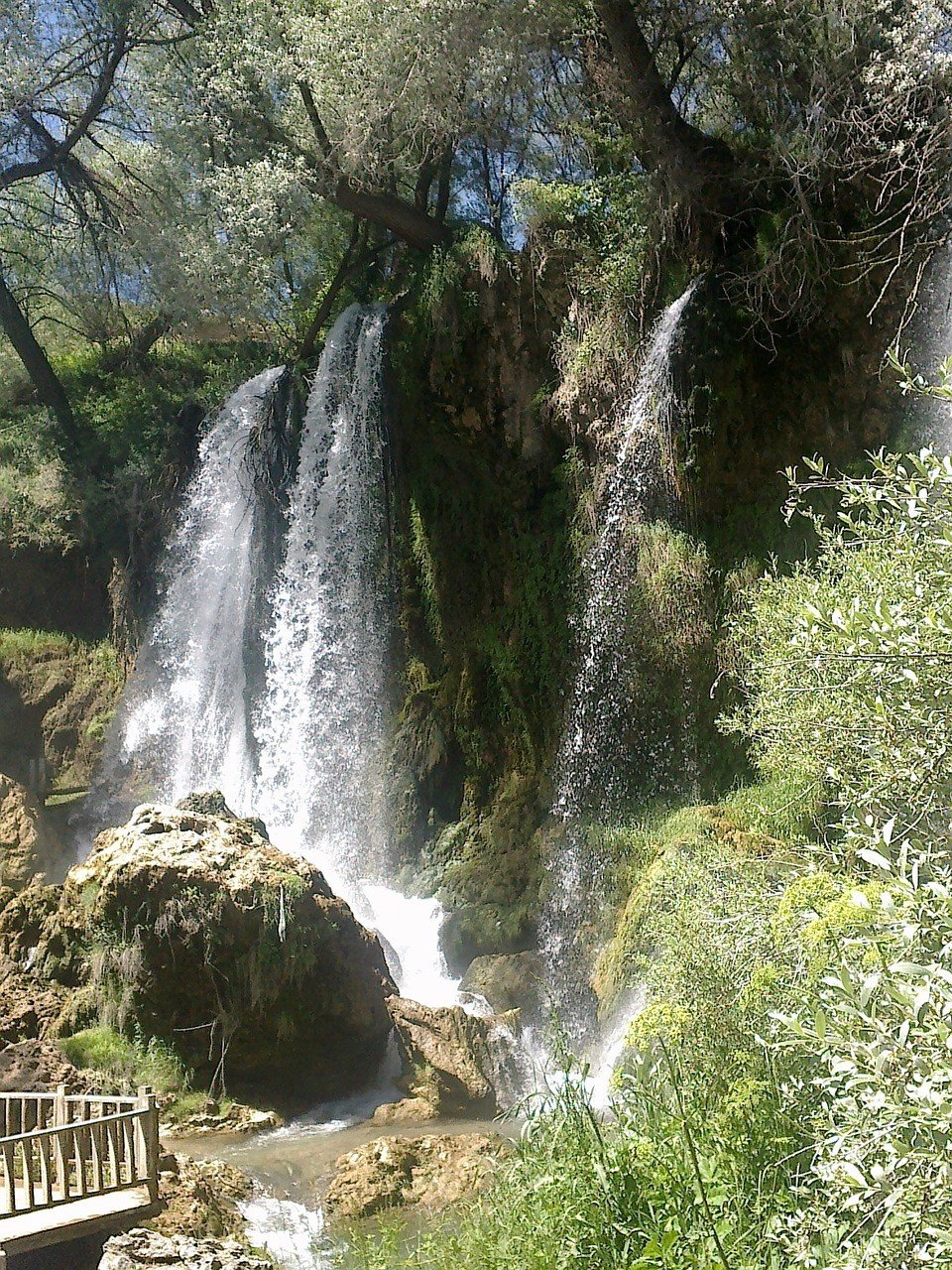 Dark View Waterfalls excursion - Across Caribbean Excursions